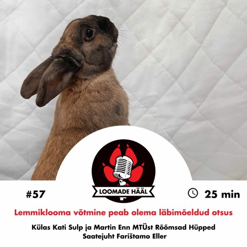 Loomade Hääl #57: Lemmiklooma võtmine peab olema läbimõeldud otsus ...